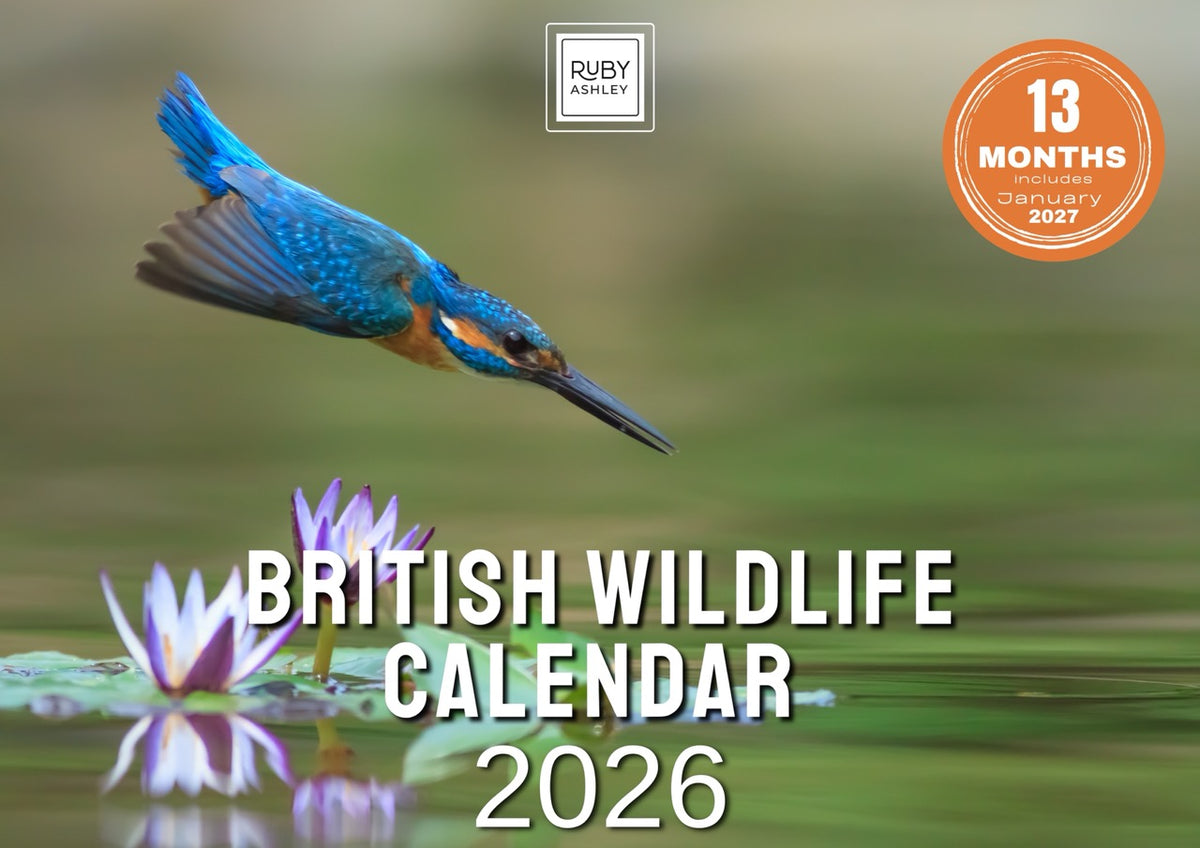 2026 British Wildlife Calendar – Ruby Ashley