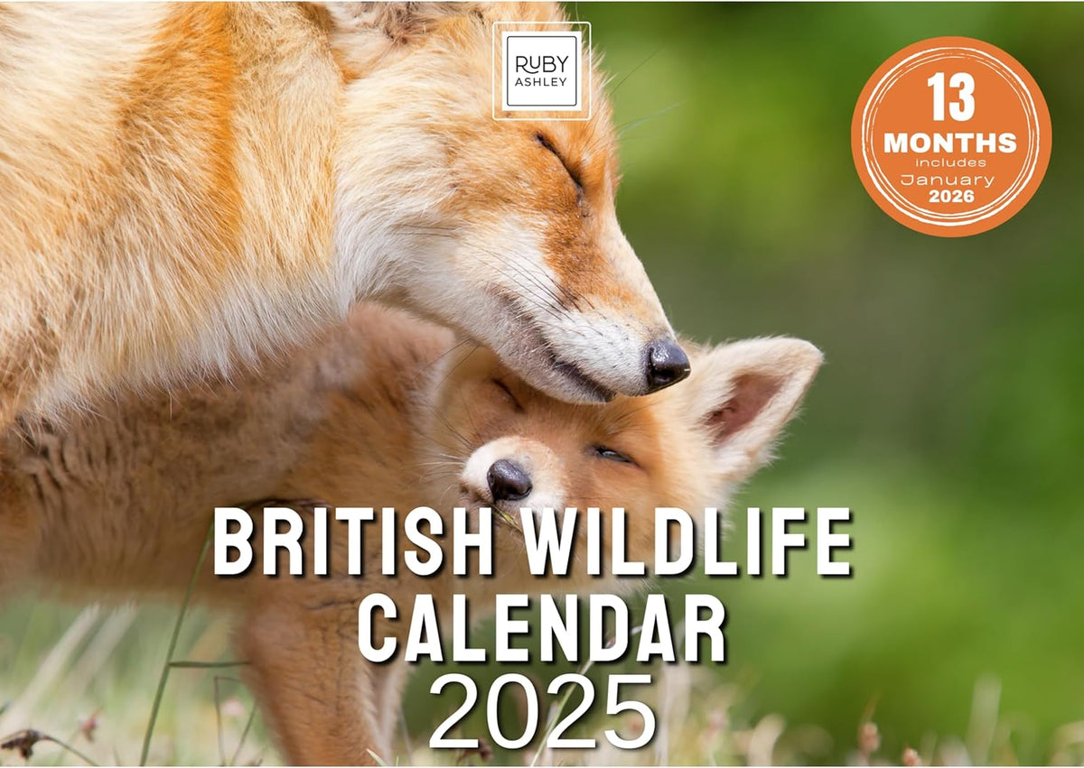 2025 British Wildlife Calendar: 13 Months of Stunning Images, UK Notab ...